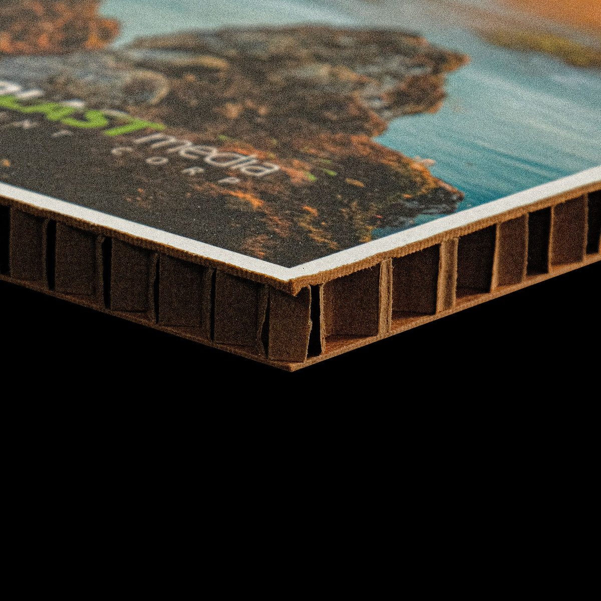 Falconboard Signs (Include Bioboard) — Blast Media Inc